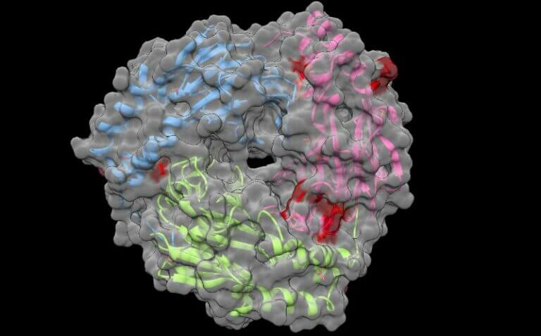 Structural biologists endorse the potential of their field to extract ...