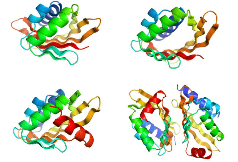 Scientists reveal how to computationally design artificial proteins for ...