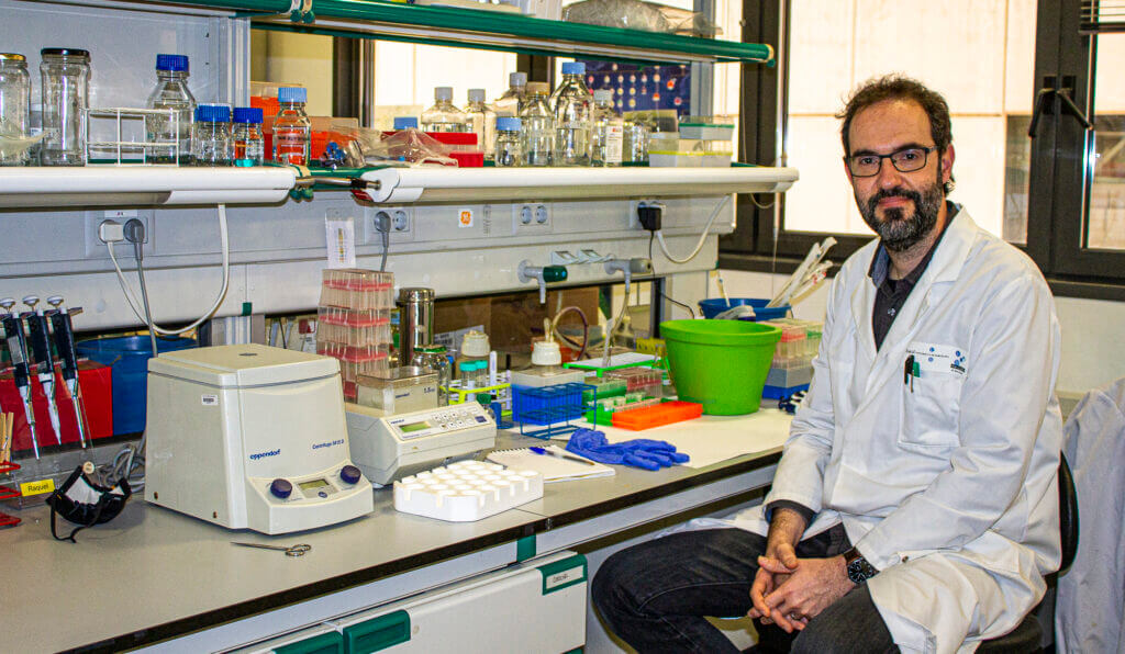 Demuestran una conexión entre el metabolismo de la glucosa y los ...