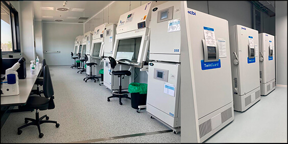 New room for cell cultures, ultrafreezers, cold chamber and ice machine ...